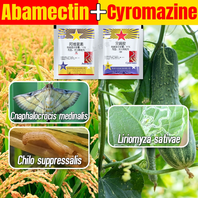 Powerful Combination Abamectin Insecticide 3g And Cyromazine Insecticide 5g Insecticide Shopee