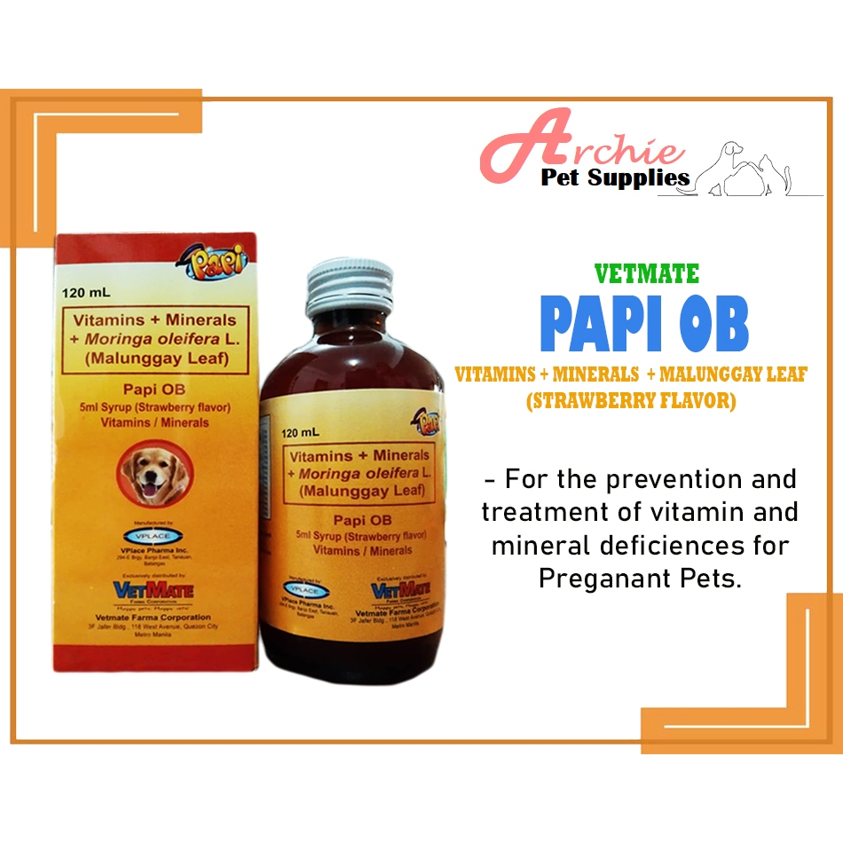 PAPI OB SYRUP (Vitamins + Minerals + Moringa oleifera L.) 120mL ...