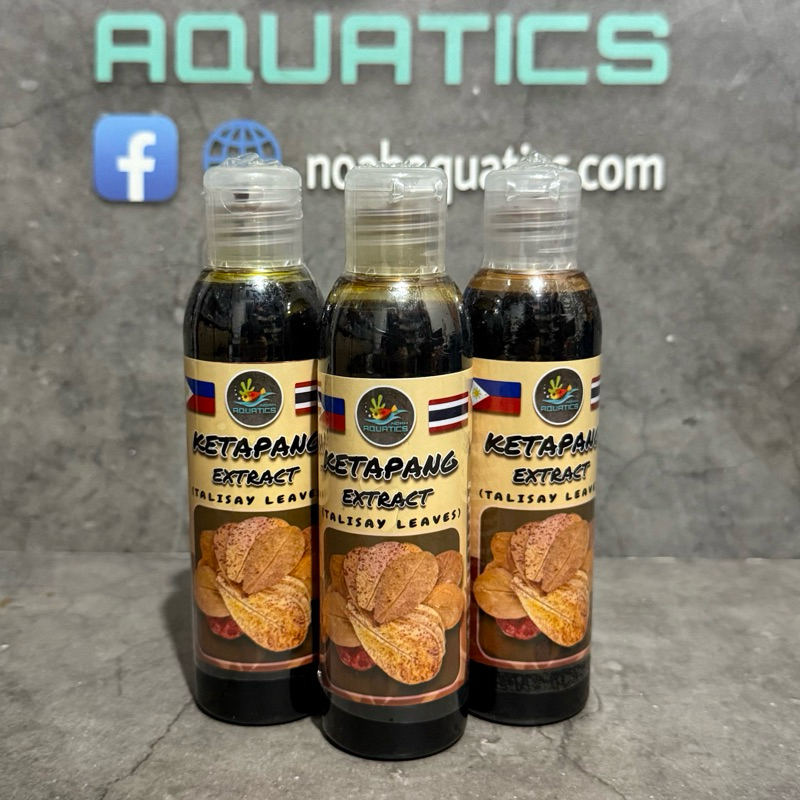 Talisay Extract Concentrated 100ml by Noah Aquatics | Ketapang | Indian ...