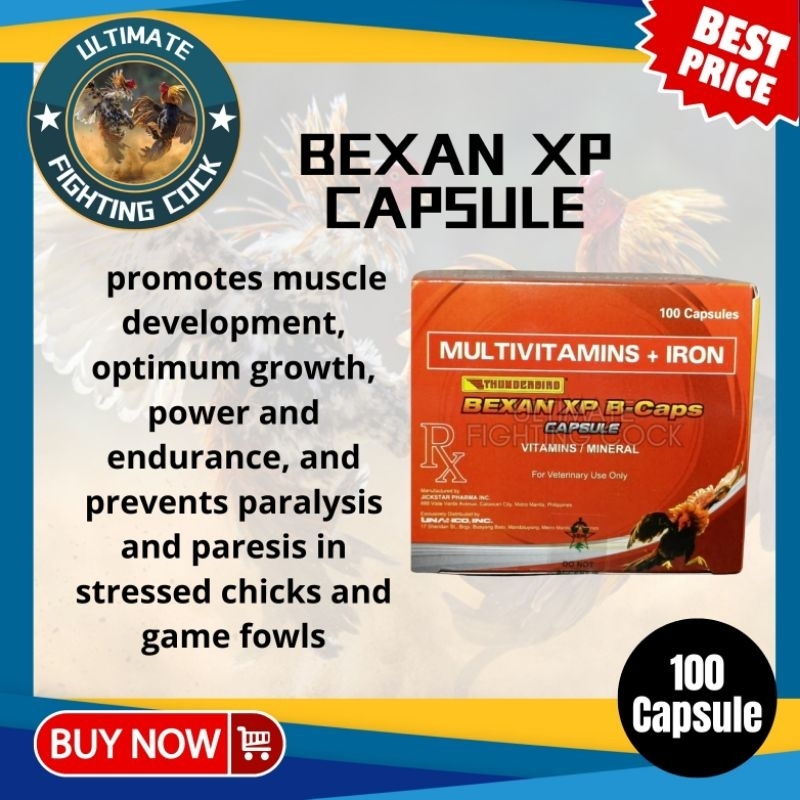 BEXAN XP 100 CAPSULES (SOLD PER BOX) | Shopee Philippines