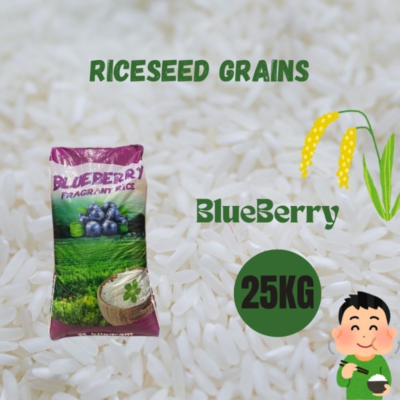 Blueberry Fragrant Rice 25kg by Riceseedgrains | Shopee Philippines