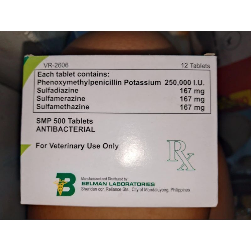 SMP 500, Per Box 12Tablets | Shopee Philippines