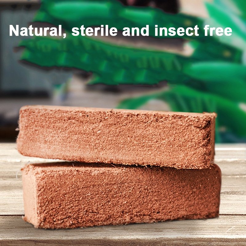 Natural Coconut Blocks Imported Natural Coco Peat Block Brick - Basic ...