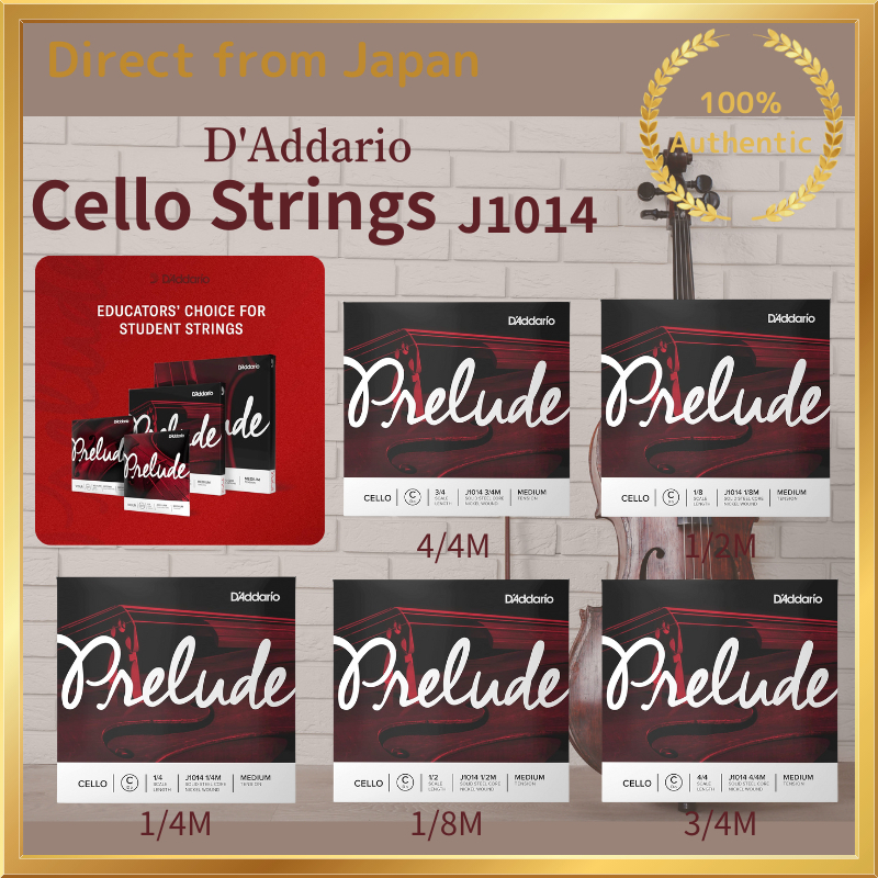 D'Addario D'Addario Cello String Prelude C-String J1014 1/8M Medium ...