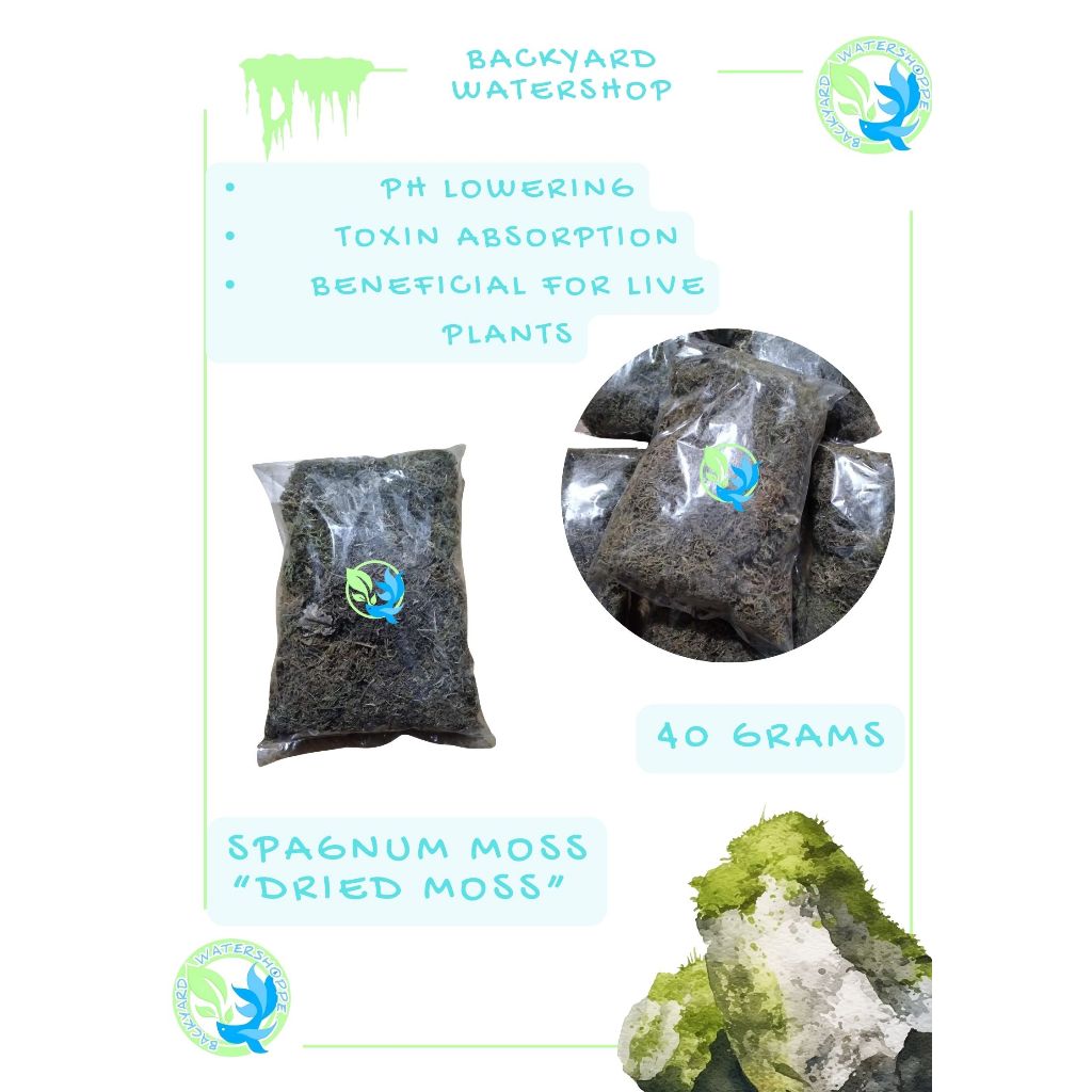 Sphagnum Moss (dried moss) | Shopee Philippines