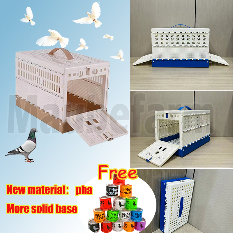 Foldable Pigeon Bird Cage Training Box Plastic Cage LARGE Portable ...