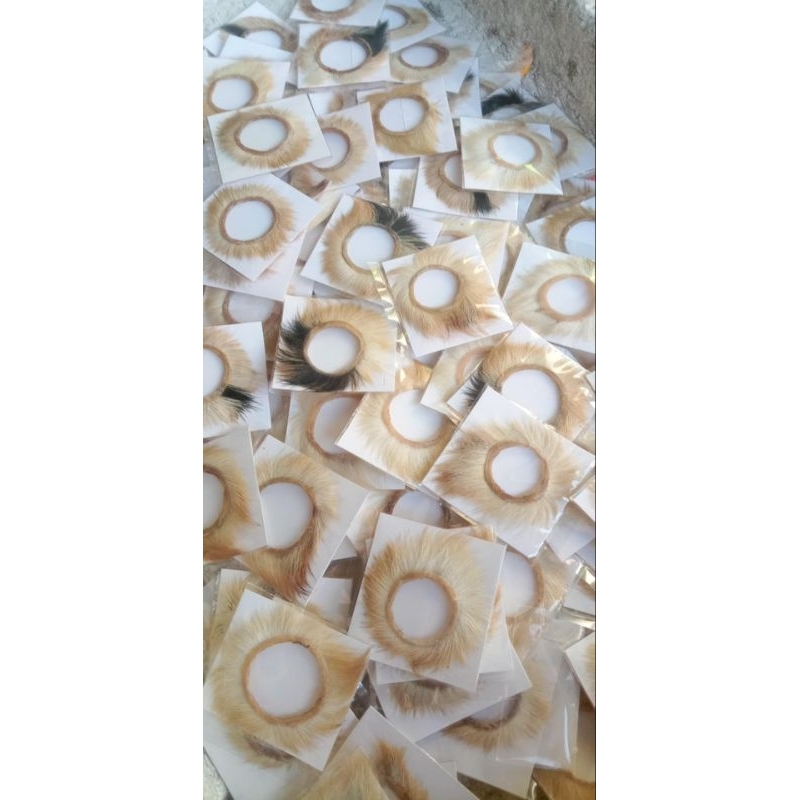 Pilik mata ng Kambing | Shopee Philippines