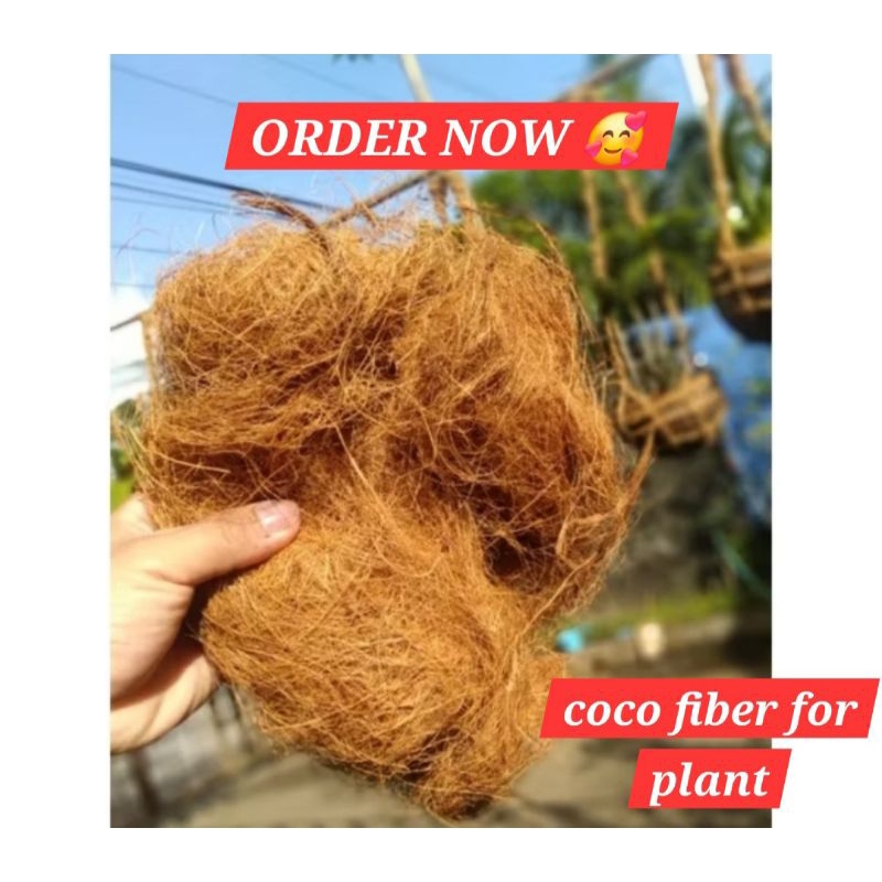 coco fiber lowest price 250g 25 only for orchids high quality ORDER NOW ...
