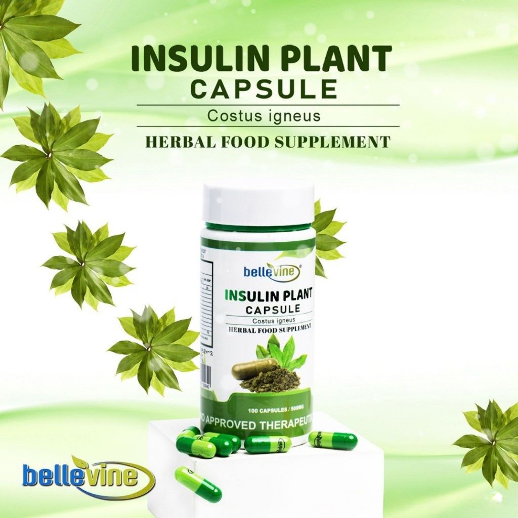 Bellevine Insulin Plant Capsule Herbal Food Supplement 100 Capsules ...