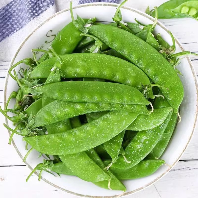 20 Seeds SNOW PEA-Sitsaro / Chinese Pea / Snow Peas | Shopee Philippines
