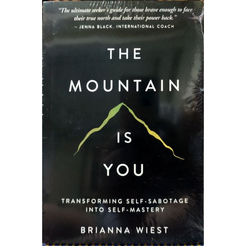 THE MOUNTAIN IS YOU BU BRIANNA WIEST TP BOOK | Shopee Philippines
