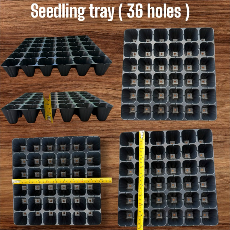 SEEDLING TRAY for Beginners ( 6Holes/ 12Holes/24holes/36holes ...