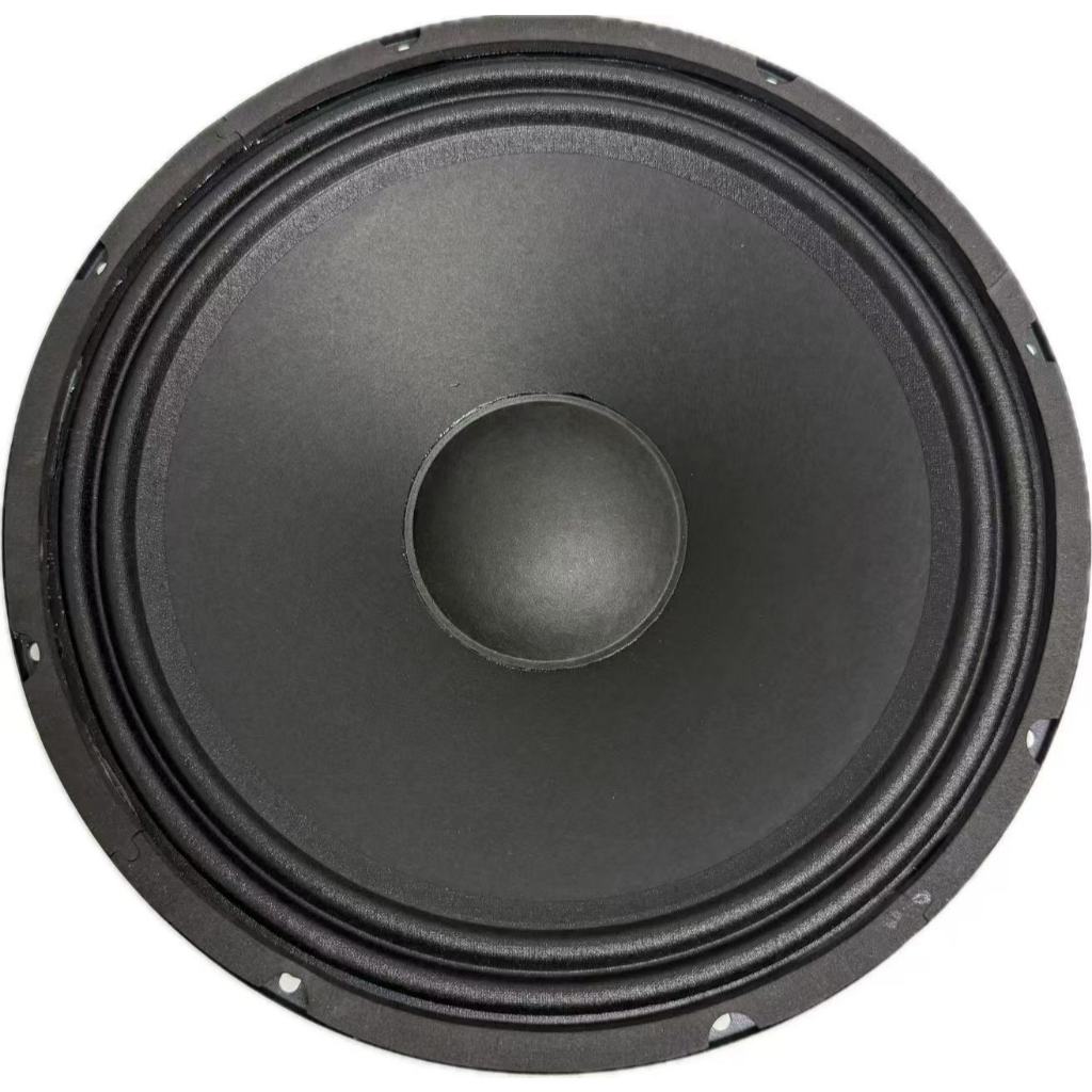 TW AUDIO D12 SPEAKER INSTRUMENTAL WOOFER FOR HOME AUDIO DIY 4 OHMS SG12 ...