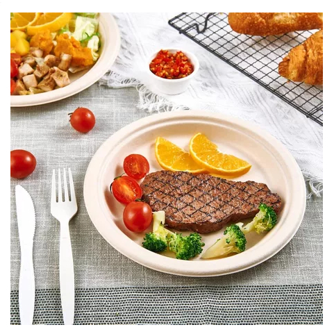 50pcs Disposable Plate 9-10" Extra Strong, Extra Thick Microwave Safe ...