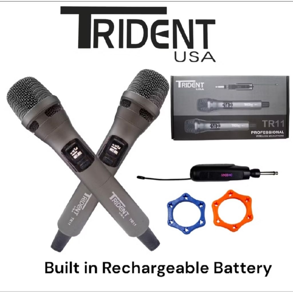 Trident TR11 Professional Wireless Mic | Shopee Philippines