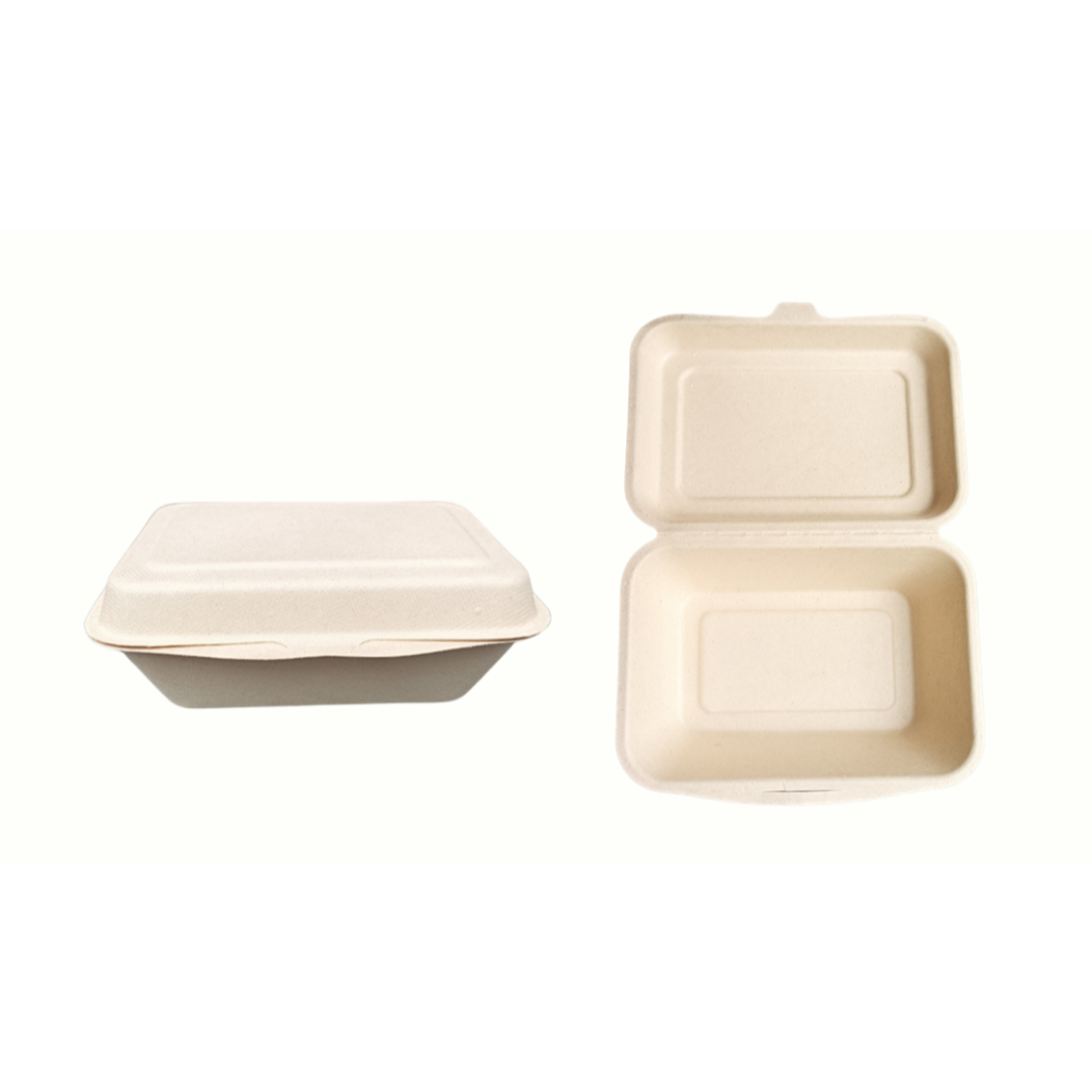 Bento Meal Box - Spaghetti Box - 600ml | Sugarcane Bagasse - (25pcs ...
