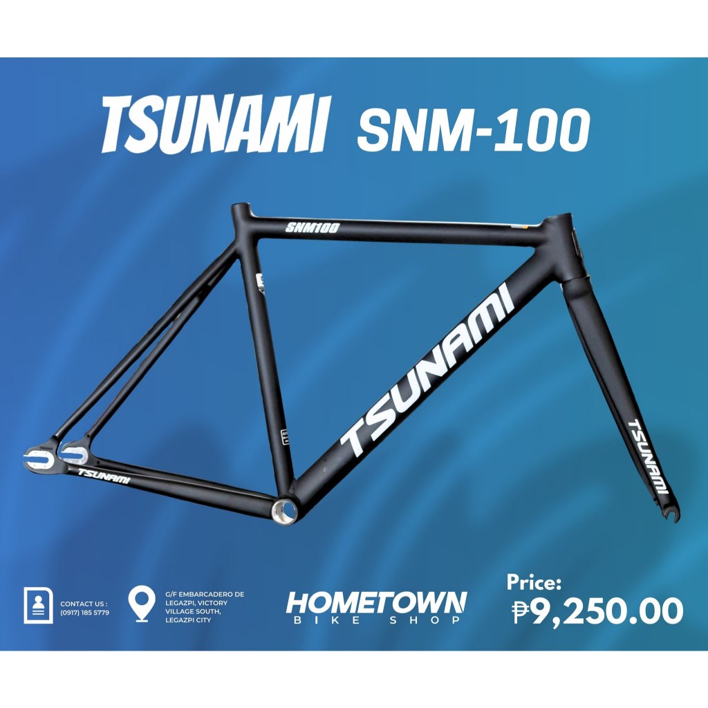 Tsunami SNM100 Alloy Fixie Frame | Shopee Philippines