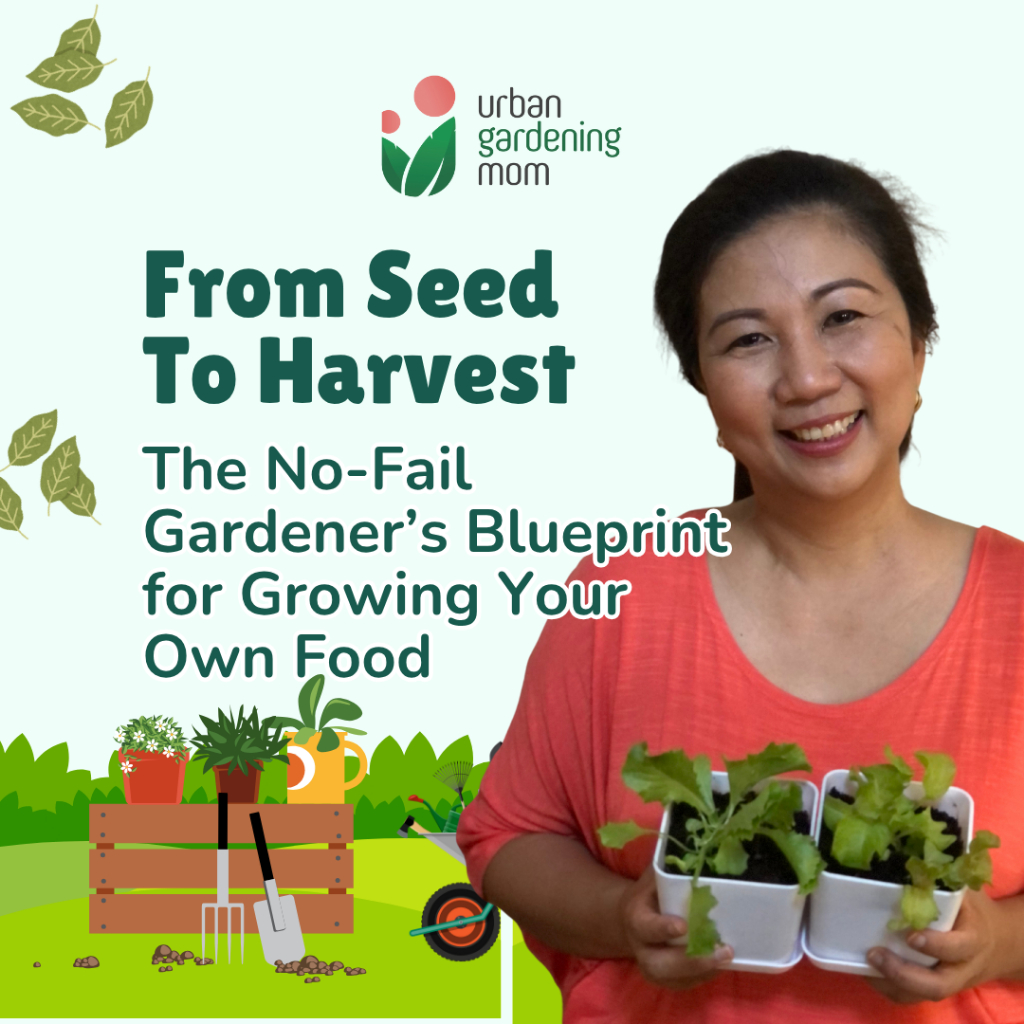 From Seed to Harvest: The No-Fail Gardening Blueprint for Growing your ...