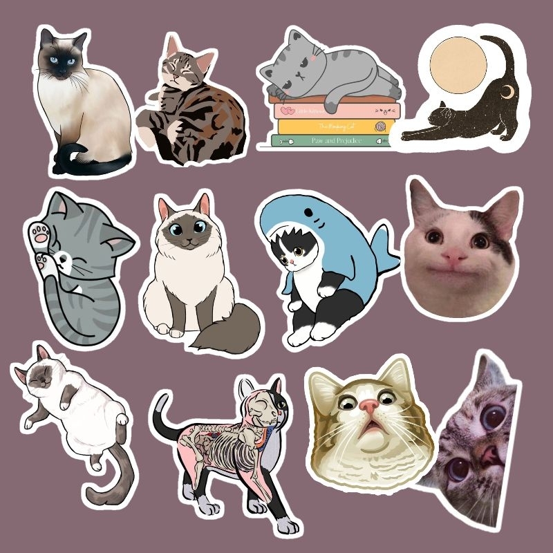 Cat Stickers | Vinyl Matte Laminated Waterproof and Scratchproof ...