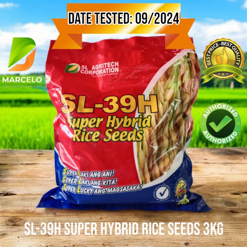 HIGH YIELD SUPER HYBRID RICE SEEDS SL8H / SL19H / SL20H / SL39H 3KG-By ...