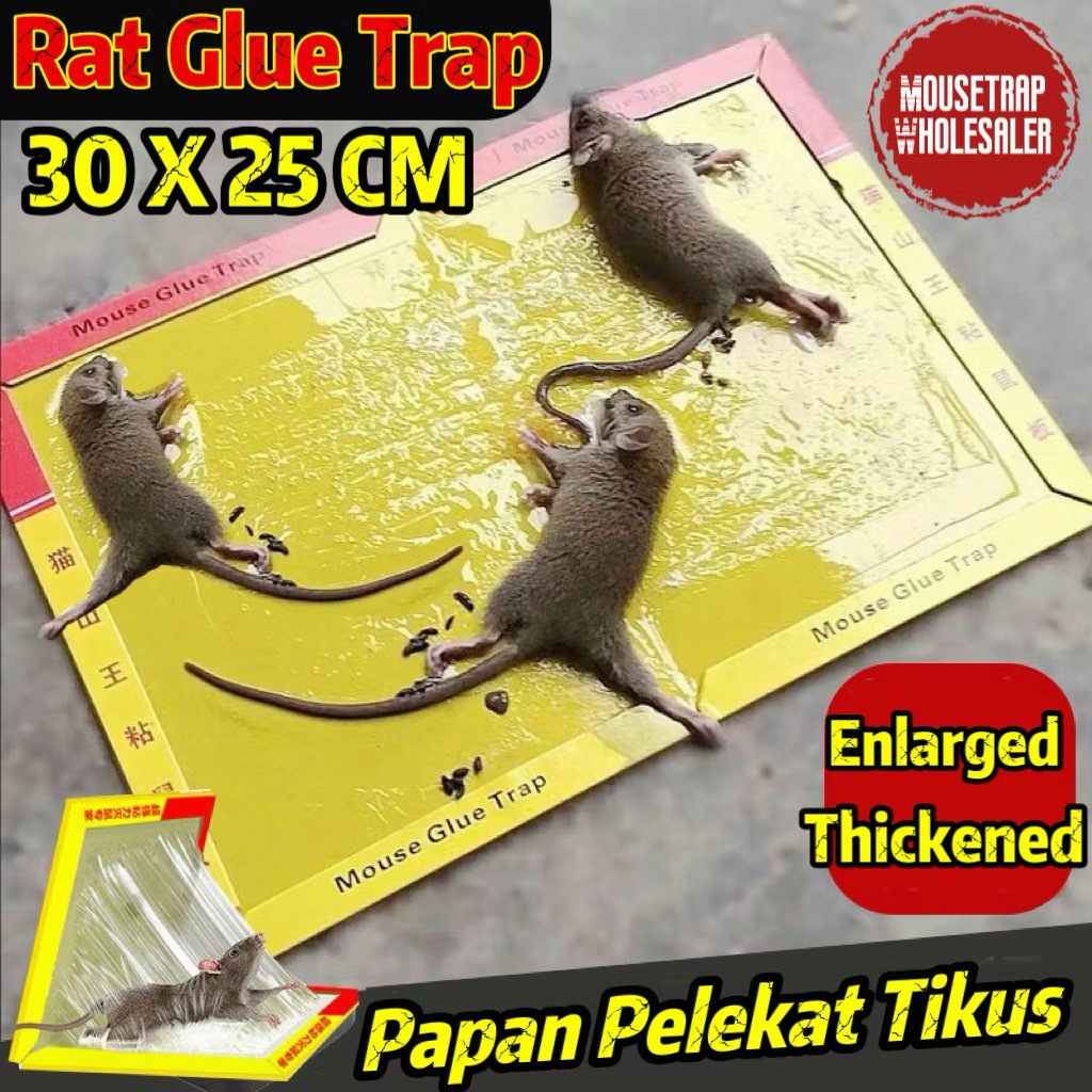 Big(Super Strong Adhesion) Mouse Rat Trap Glue Board Sticky mouse board ...