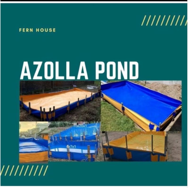 1 PC (4 x 8 x3 )FT MARUYAMA ORIGINAL Azolla TRAPOND | Shopee Philippines