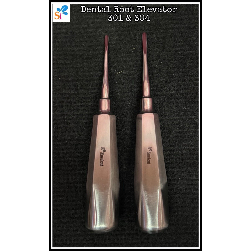 Dental Root Elevator 301 & 304 SURDENT GErmany Stainless | Shopee ...