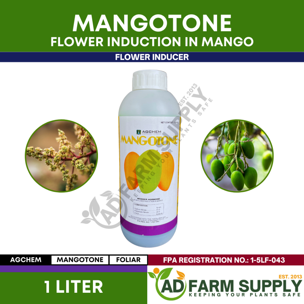 Mangotone - Mango Bloom Enhancer - 1 Liter | Shopee Philippines