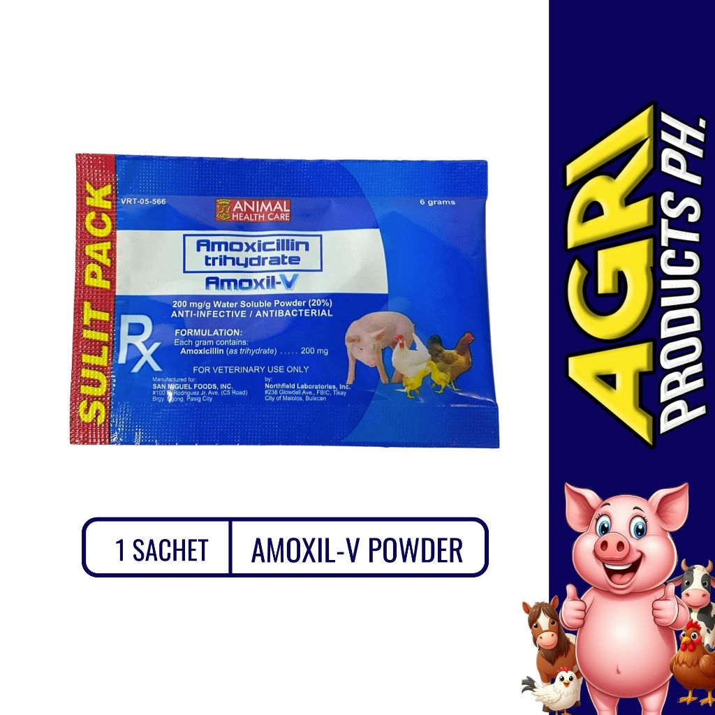 AMOXIL-V POWDER (1 SACHET - 6 GRAMS) | Shopee Philippines