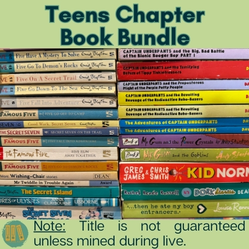 Teens Chapter Book Bundle | Shopee Philippines