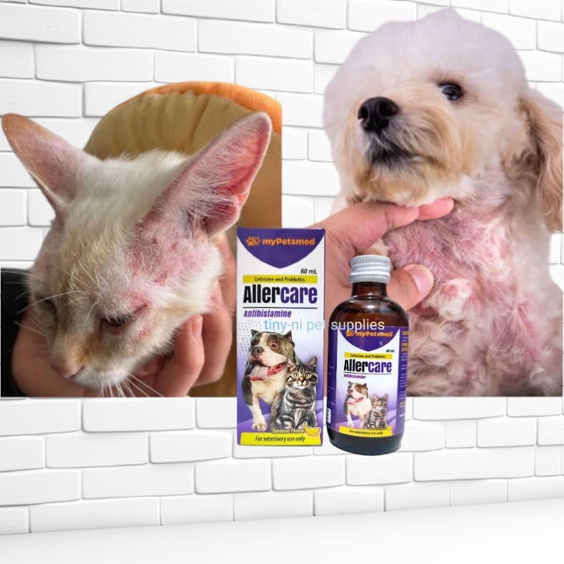 Allercare Syrup PredPet Syrup PredPet Tablet for Dogs and Cats|30ml ...