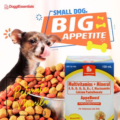 APPEBOOST Vitamins Supplements for Dogs & Cats 120ml | Shopee Philippines