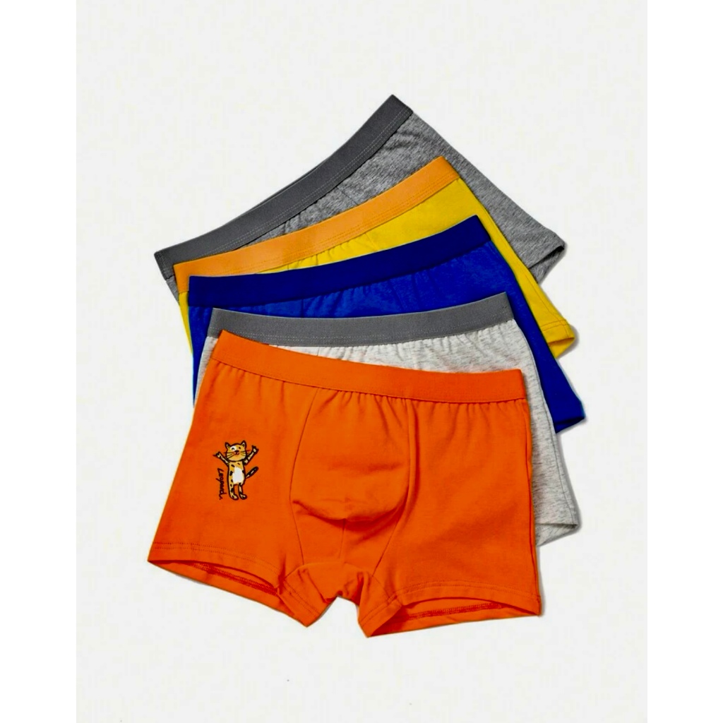 Catwalk Kid's Assorted Cartoon Design Brief Boy's Premium Underwear ...