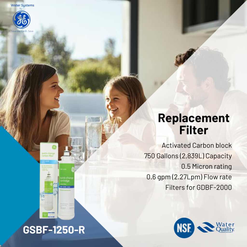Pentair GE GSBF-1250 Replacement Filter (NO BOX) | Shopee Philippines