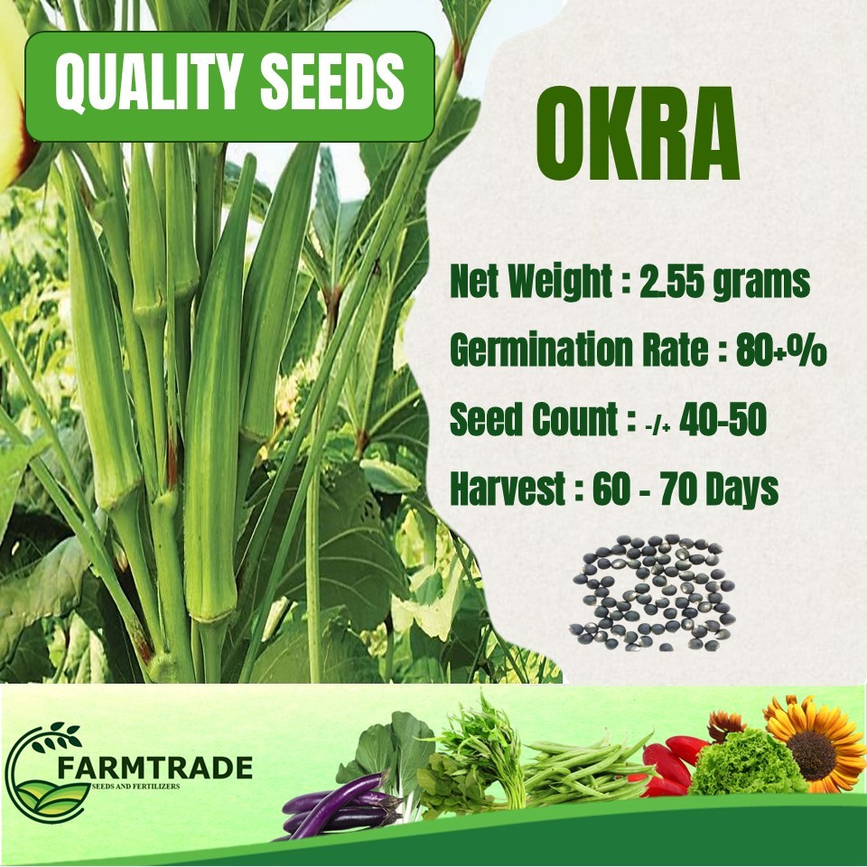 OKRA VEGETABLE SEEDS (40-50 seeds) Green Variety | Shopee Philippines