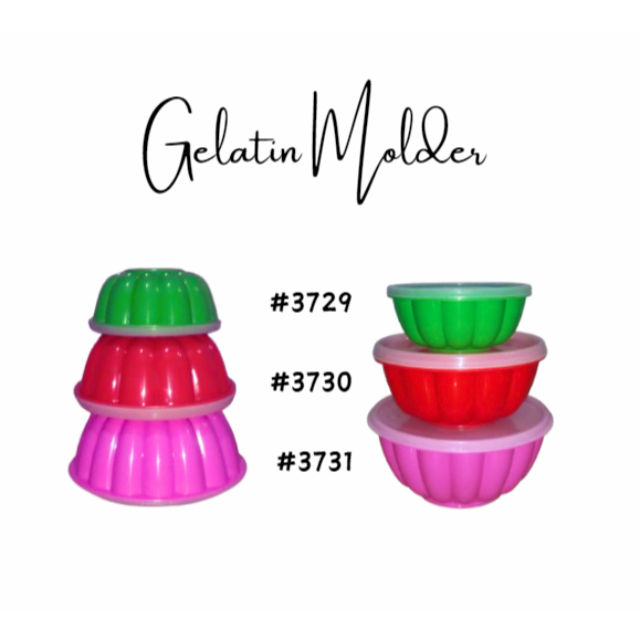 Plastic Gelatin Bowl Mold Molder Gulaman Jelly Salad Cake Pudding Big ...