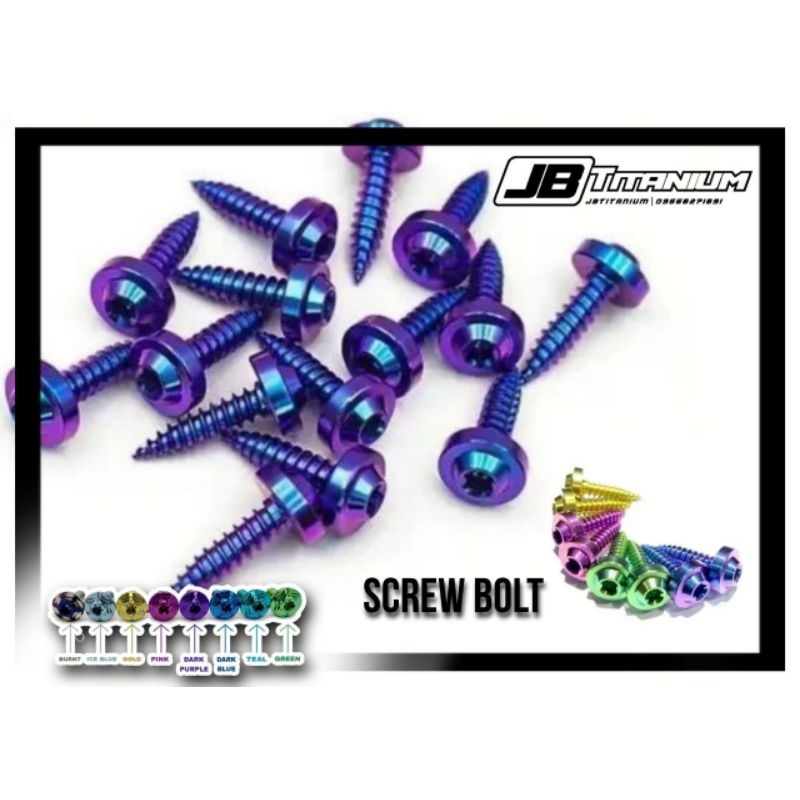 GR5 TITANIUM Screw Bolt 5x18 | BODY SCREW UNIVERSAL FIT TO ALL | 1PC ...