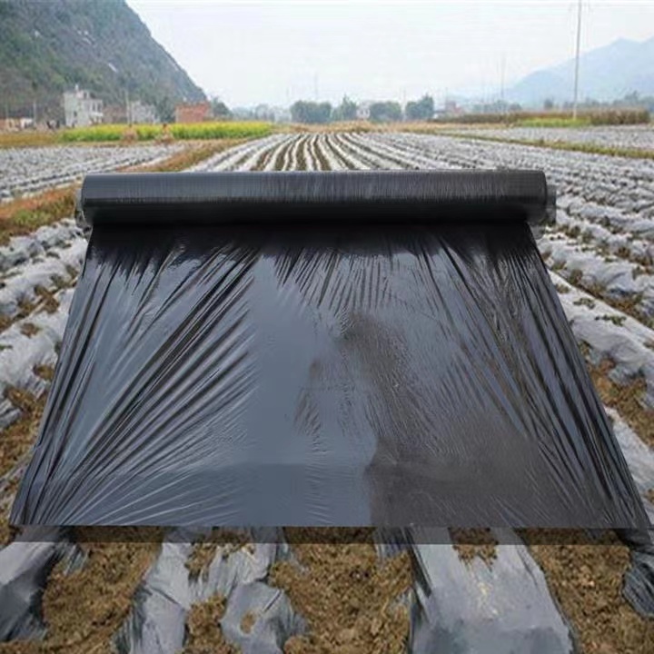 PLASTIC MULCH FILM 80CM X 600M (1 roll black) Weeding Film Thermal ...
