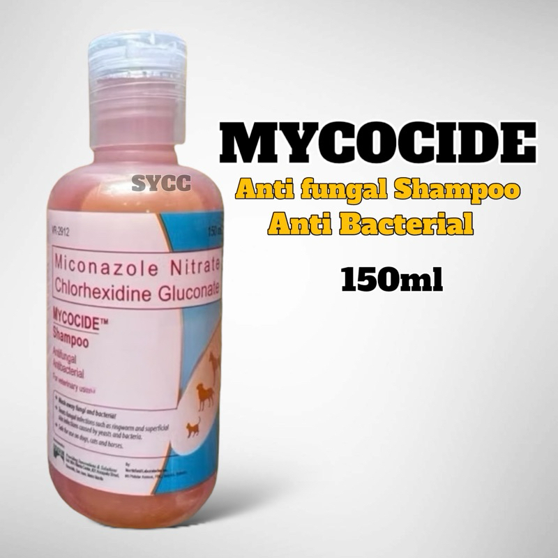 Mycocide Antifungal Anti Bacterial Shampoo 150ml | Shopee Philippines