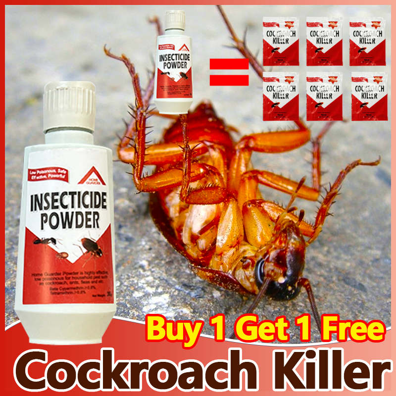 1 pack kills 9999 Cockroach Killer Bait Powder effective Roach Traps ...