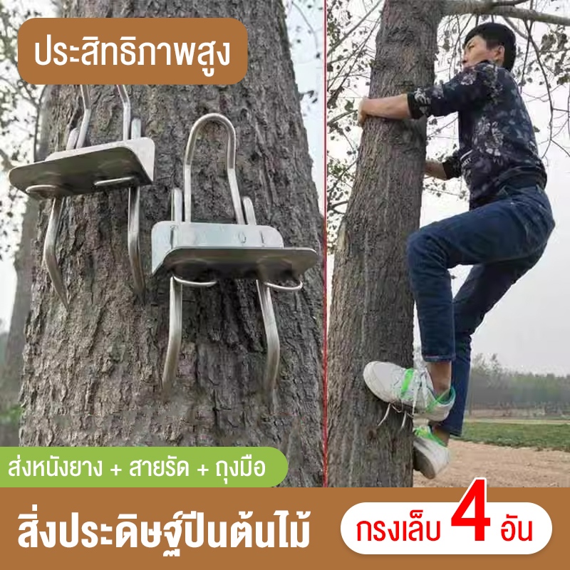 Tree climbing artifact on the tree anti-slip enhanced cat's paw on the ...