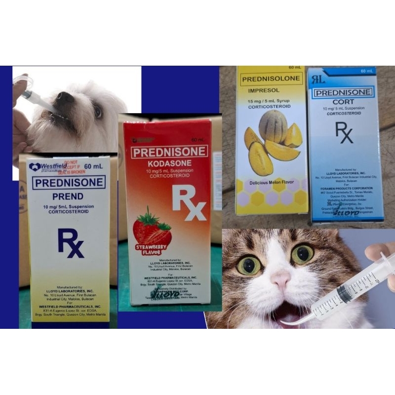 Pet Meds for cats & dogs syrup 60ml | Shopee Philippines