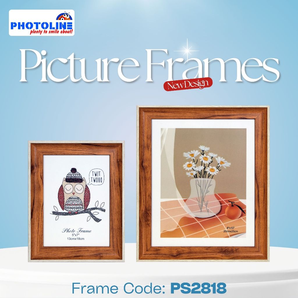 Photoline Picture Frame Ornate Frame with Two-Tone Finish 8r & 5r ...