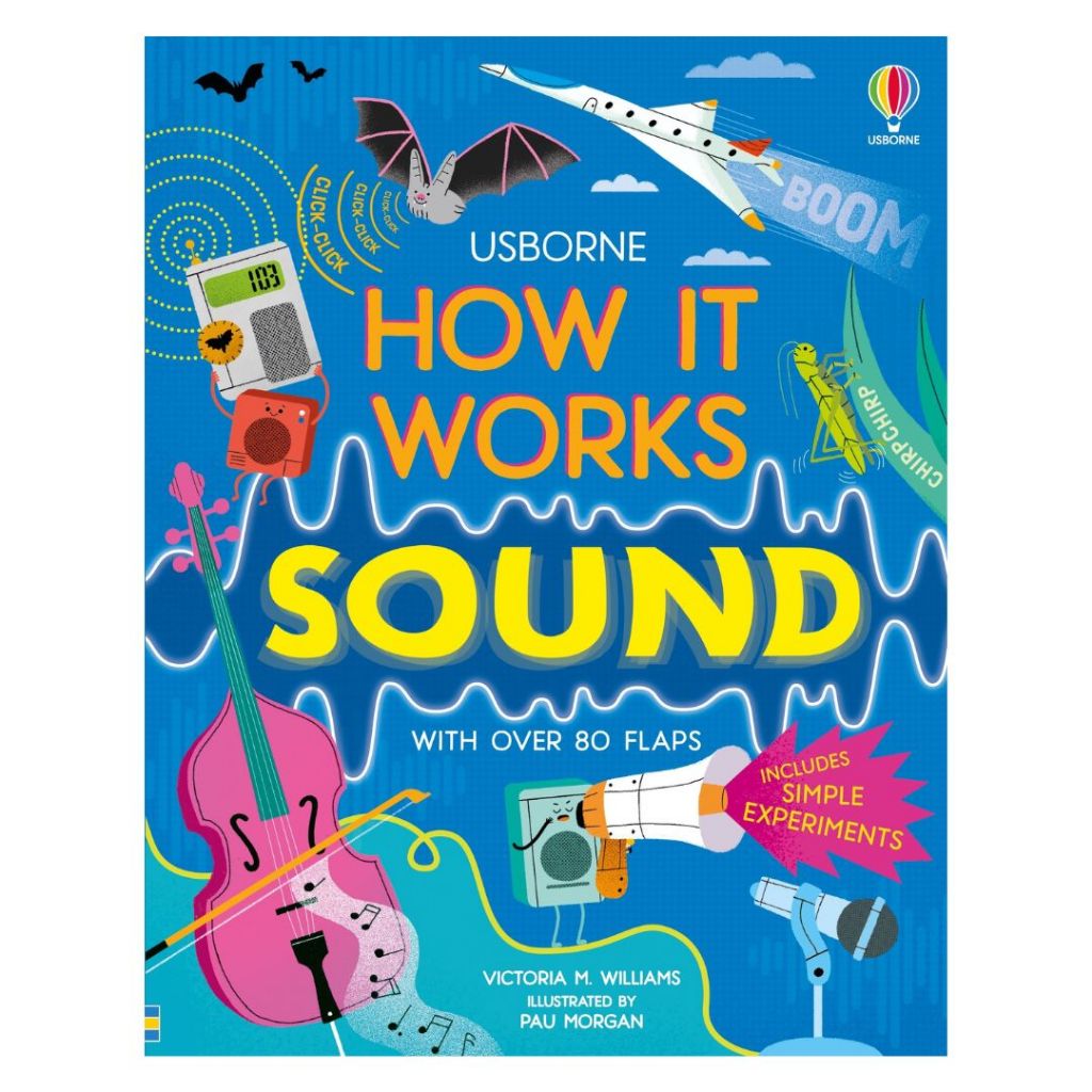 Usborne How It Works: SOUND (brand new board book, slight dents on book ...