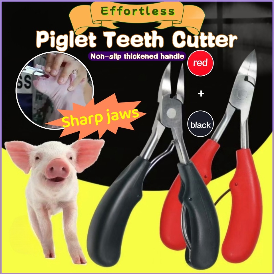 Piglet Tool Kit/Castration Tool For Piglet/Pig Teeth Cutter Stainless ...