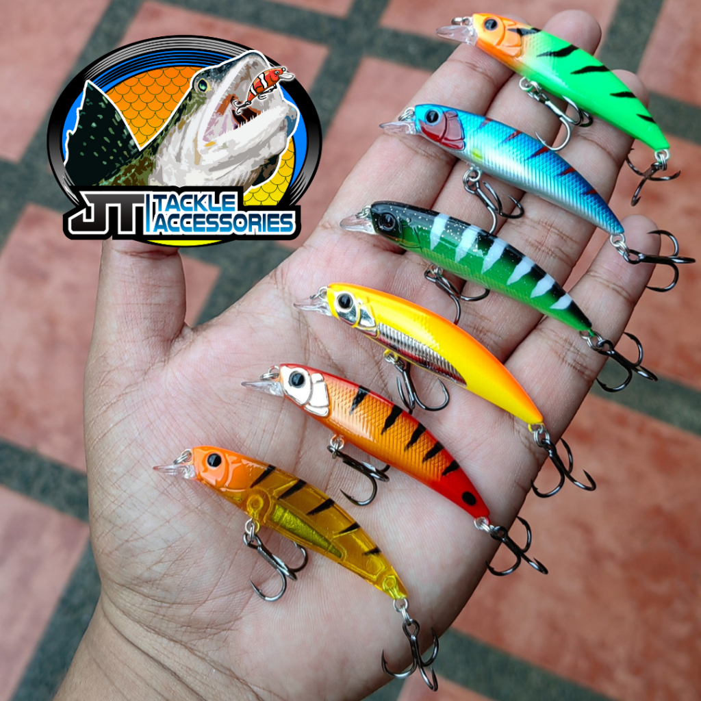 JT Trespass Minnows 6g 65mm ( Upgraded Hooks ) 🇵🇭 | Shopee Philippines