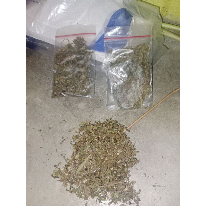 lagkitan fg shuk bombits na kayo freebies ebut | Shopee Philippines