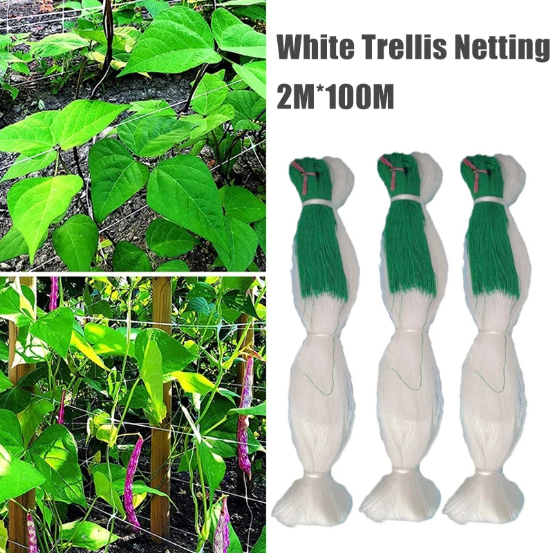 THICK Trellis Net (Balag) Vegetable Twine 10ft x 100m Trellising ...