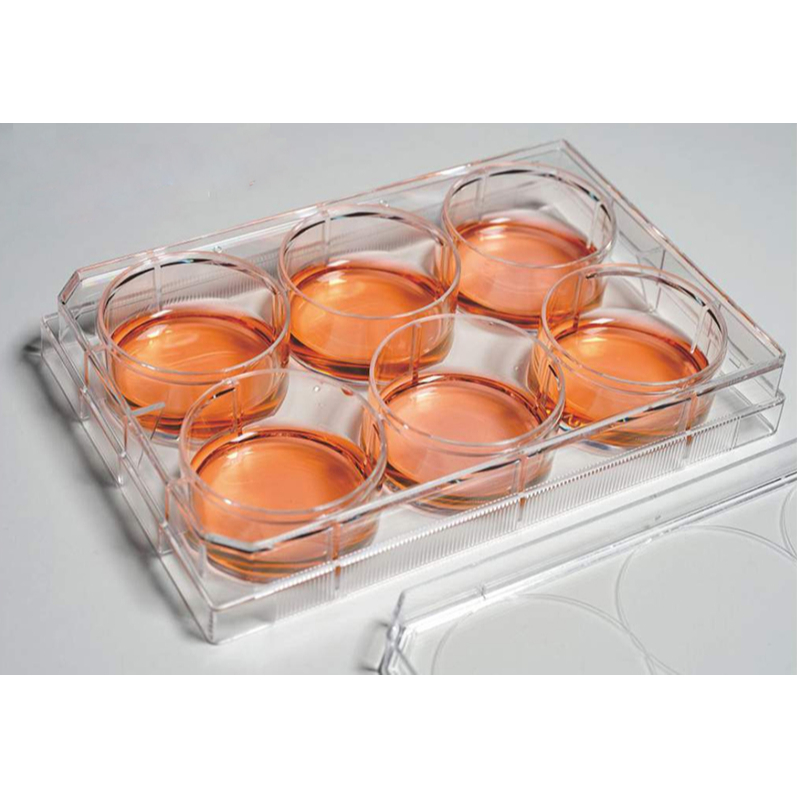 BT- Tissue culture plate 6well sterile per piece | Shopee Philippines