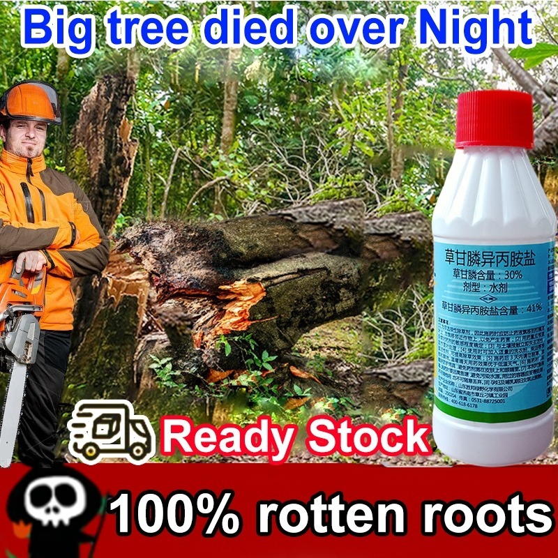 1 bottle kills 100 trees Racun pokok kayu besar 200ml Tree killer Racun ...